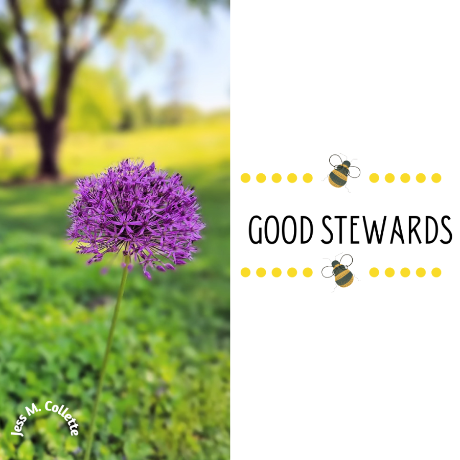 Good Stewards – Jessica M. Collette